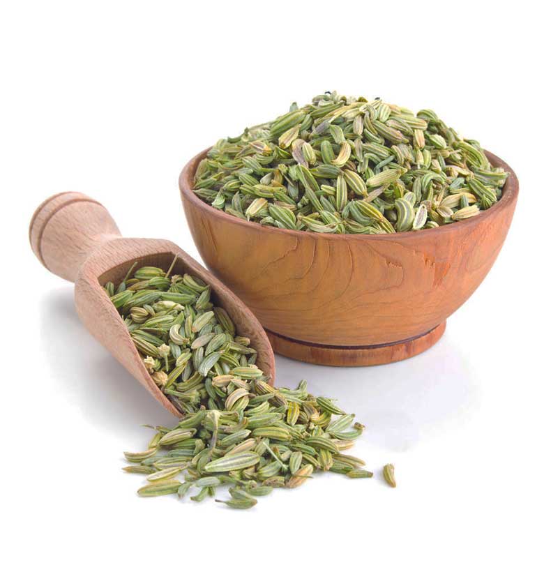 Adas - Jamupedia Jamupedia