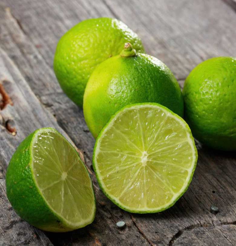 Jeruk Nipis - Jamupedia Jamupedia