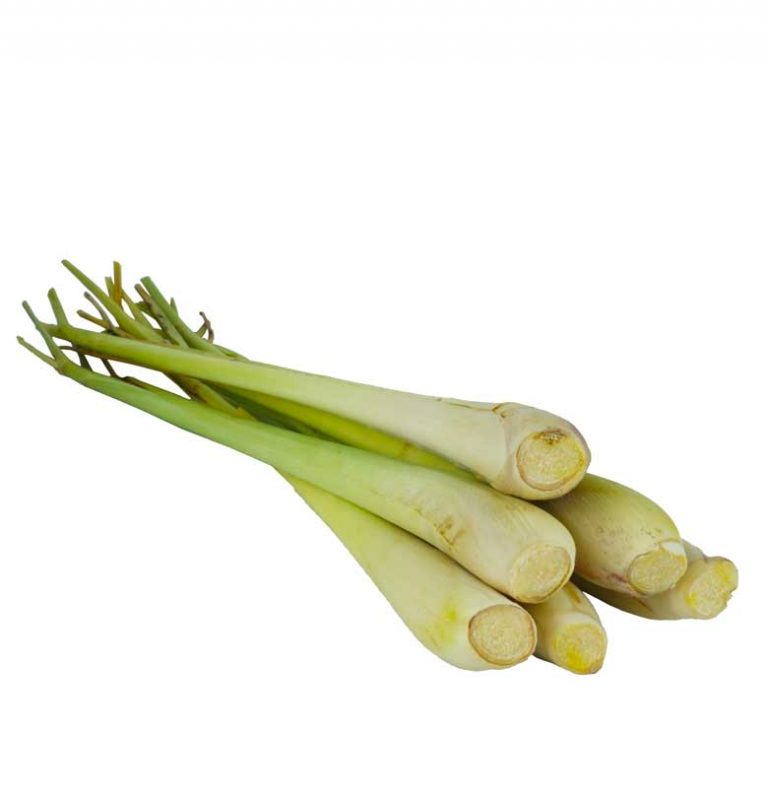 Serai - Jamupedia Jamupedia