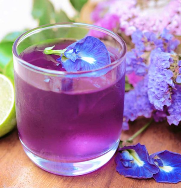 Series Bunga Telang (4) - Jamupedia Jamupedia