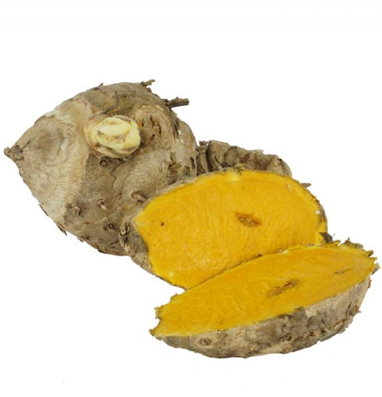 Temulawak - Jamupedia Jamupedia