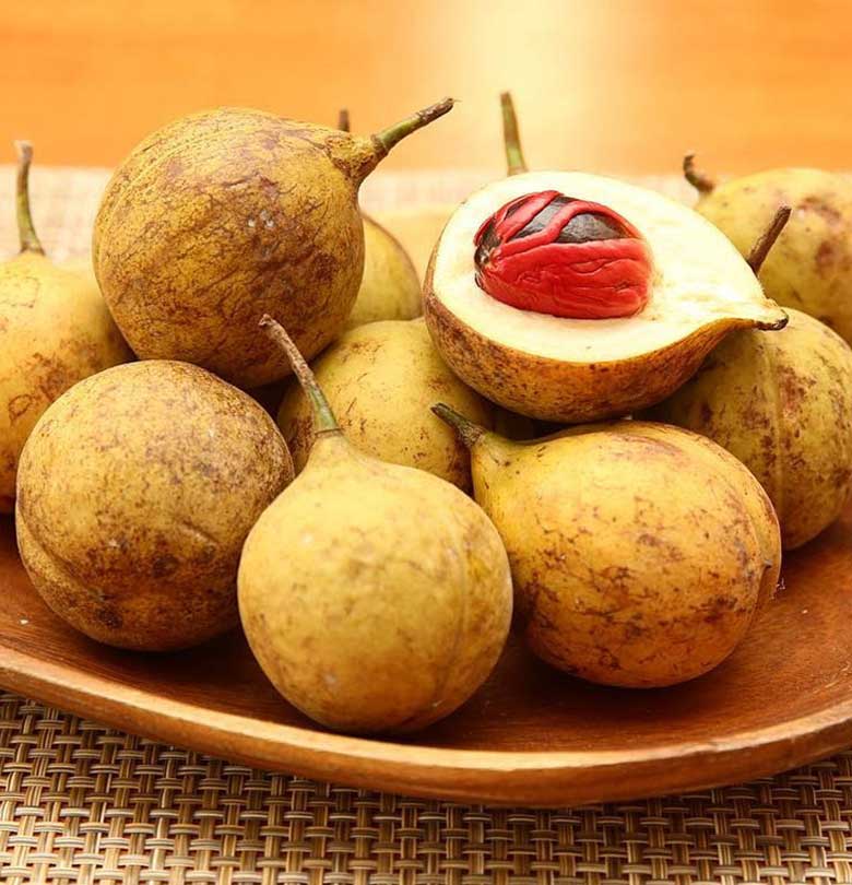 Mengenal Pala, Rempah Primadona dari Banda? - Jamupedia Jamupedia