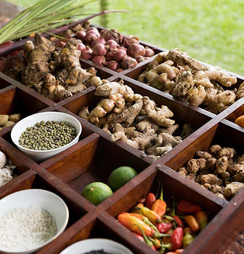 Mengenal Tanaman Obat Terpopuler di Pengobatan Tradisional Bali ...